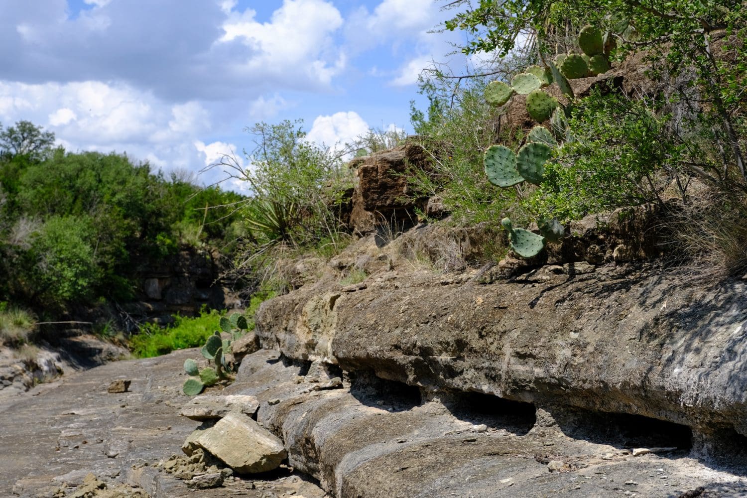 Overland Routes | The Texas Hill Country - Expedition Portal