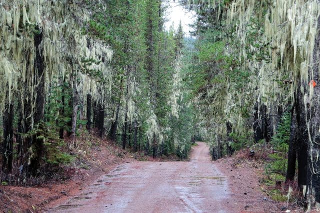 Overland Routes | Pacific Crest: Washington - Expedition Portal