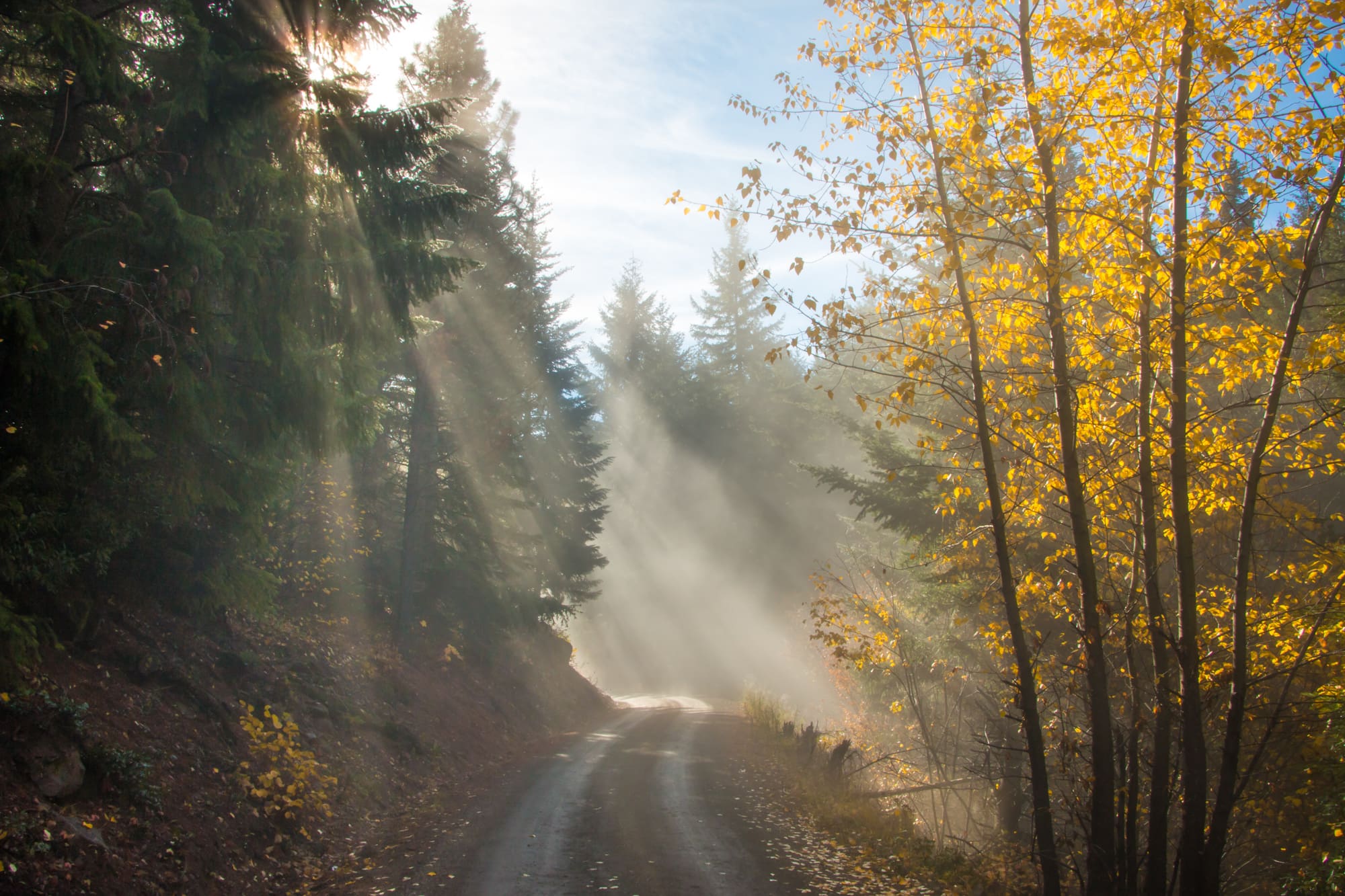 Overland Routes | Pacific Crest: Oregon Segment - Expedition Portal