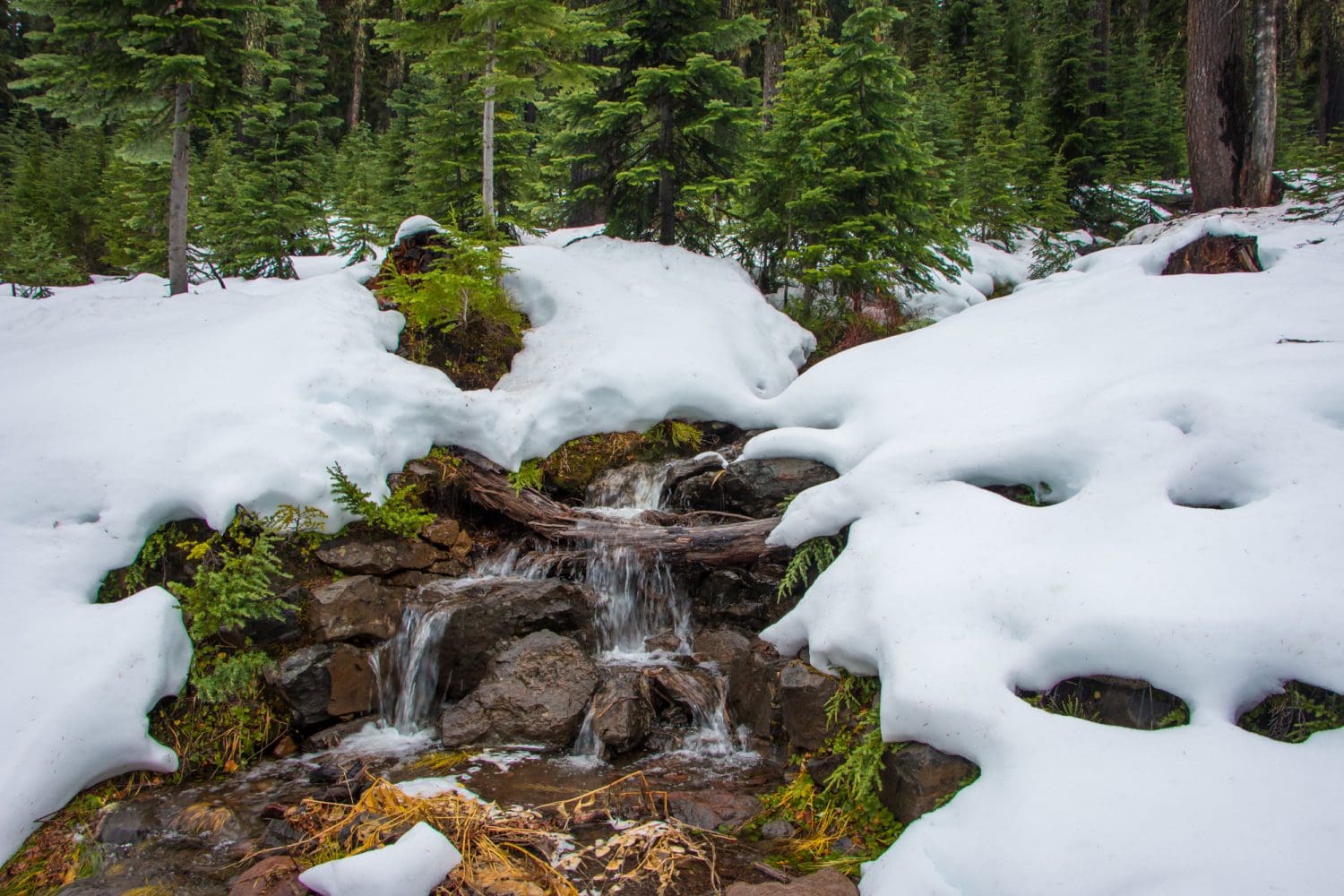 Overland Routes | Pacific Crest: Oregon Segment - Expedition Portal