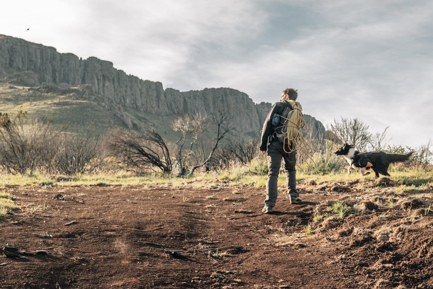 Adventures with Abby to Hogsback - Expedition Portal