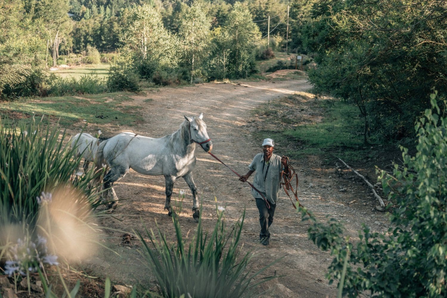 Adventures with Abby to Hogsback - Expedition Portal