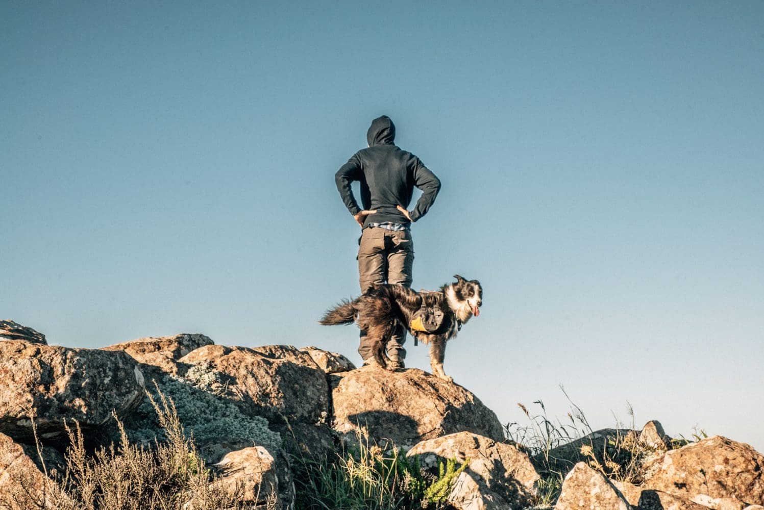 Adventures with Abby to Hogsback - Expedition Portal