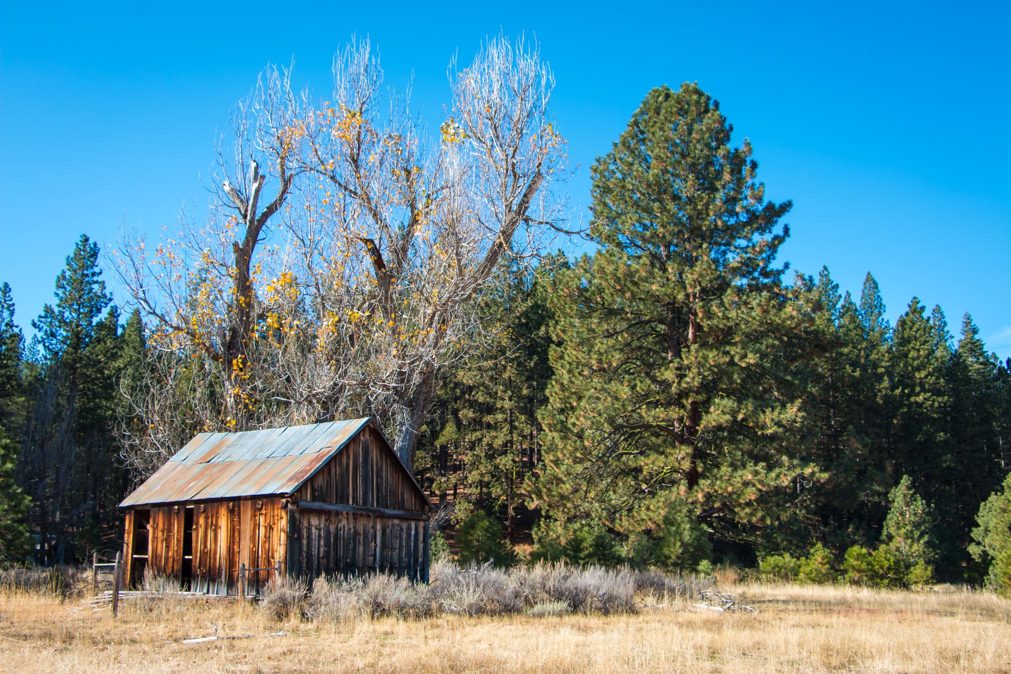 Overland Routes | Pacific Crest: California Segment - Expedition Portal