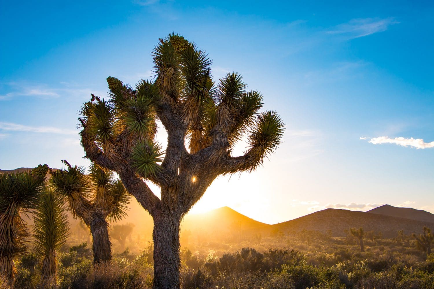 Overland Routes | Pacific Crest: California Segment - Expedition Portal