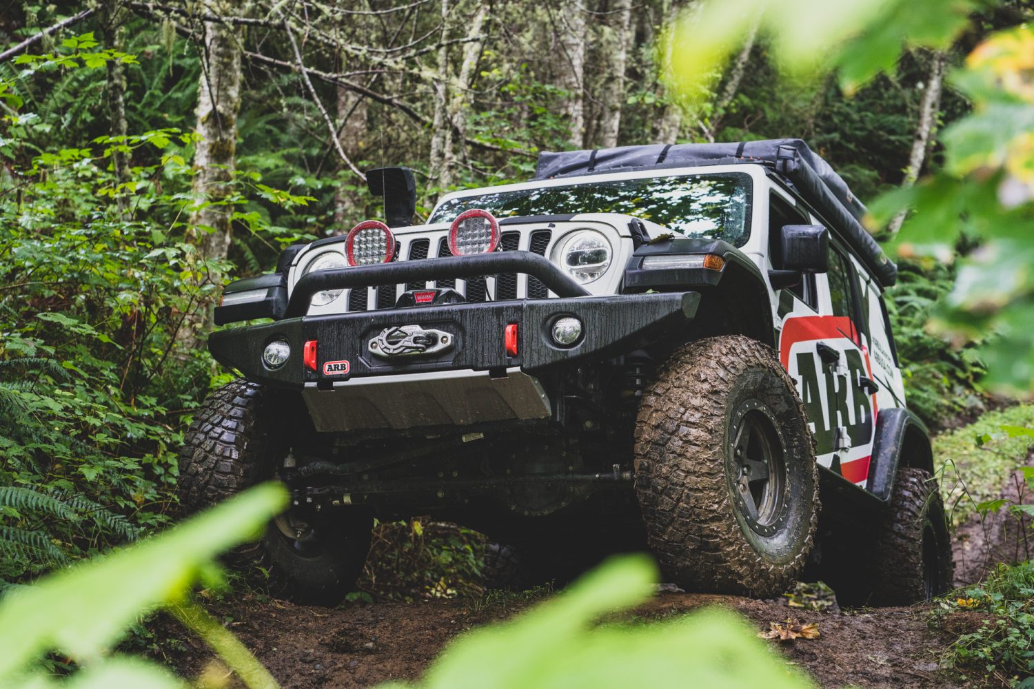 Expedition Portal - Page 111 of 238 - The global resource for overland ...