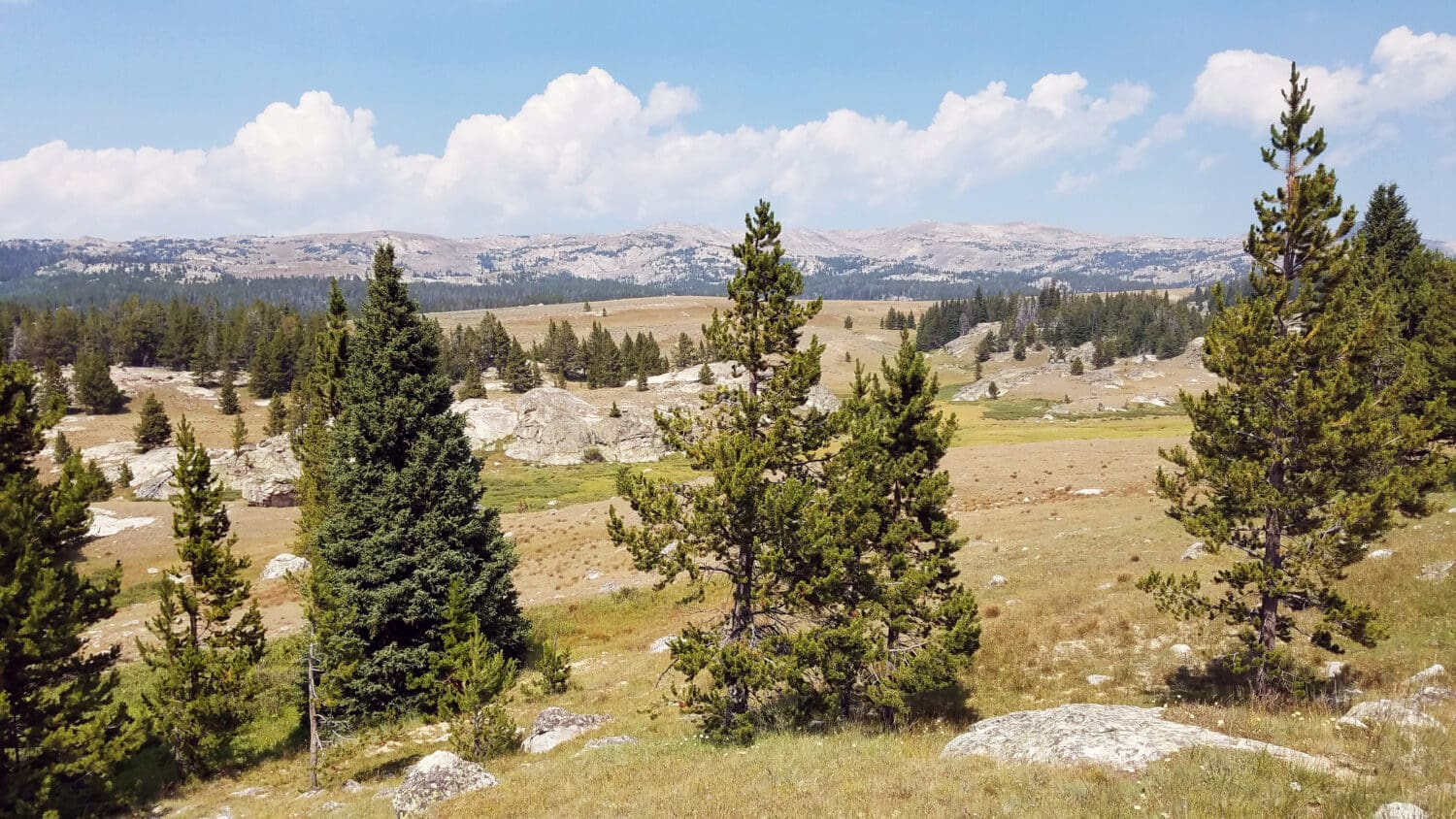 BDR Announces Plans for the Wyoming Backcountry Discovery Route ...