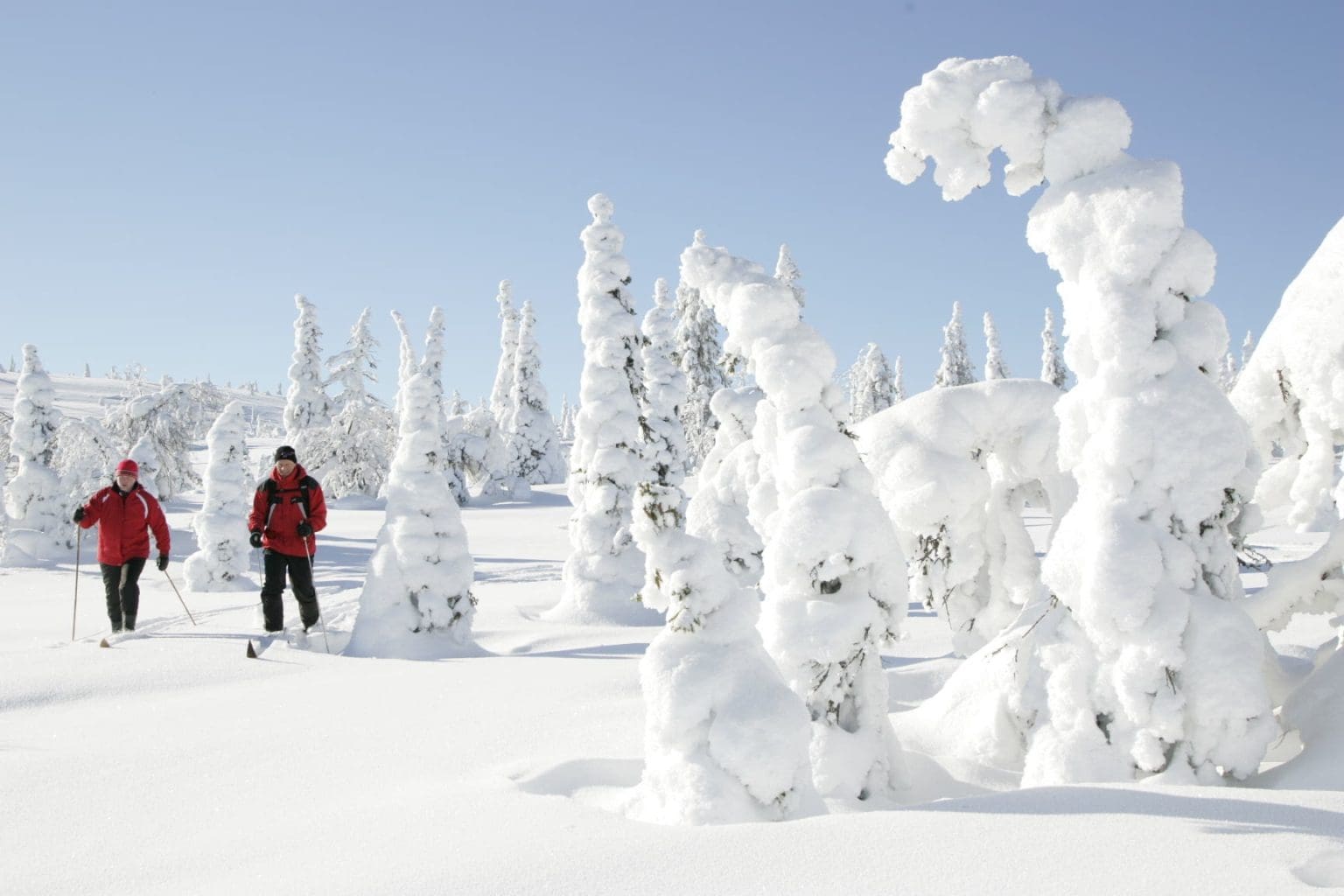 Protecting Your Eyes from Snow Blindness - Expedition Portal