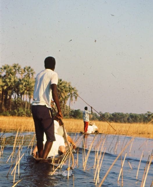 Die Raat vir Elke Kwaal: A CJ-3B Jeep Sluks its Way Through Botswana