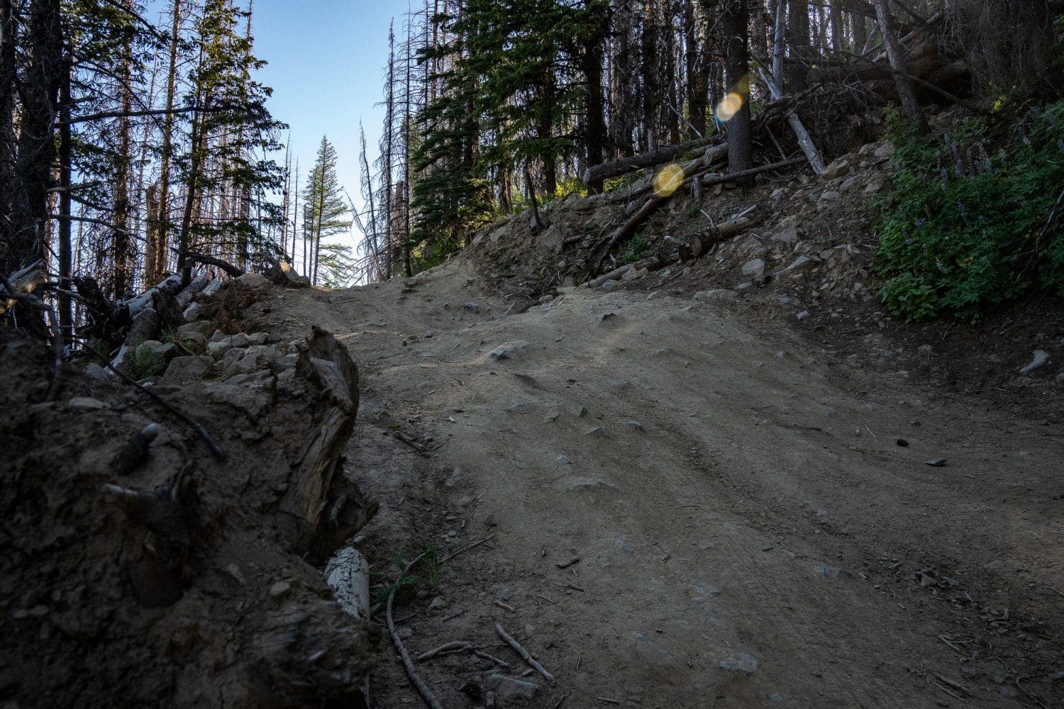 On the Up and Up: Returning to the Washington Backcountry Discovery Route