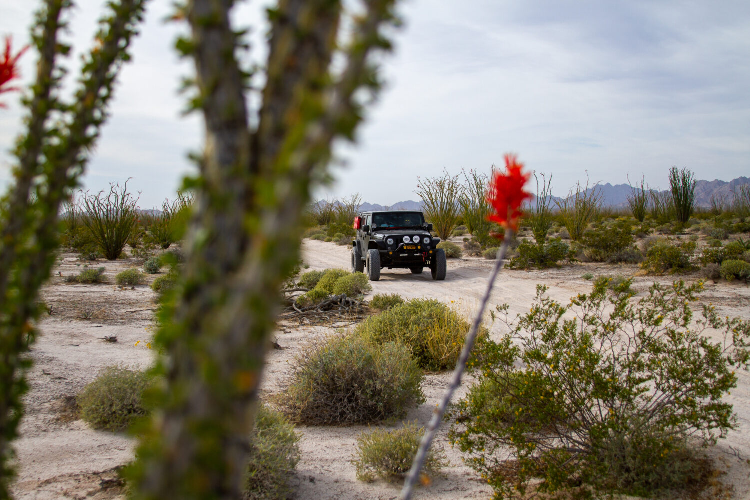 Expedition Portal - Page 2 of 290 - The global resource for overland ...